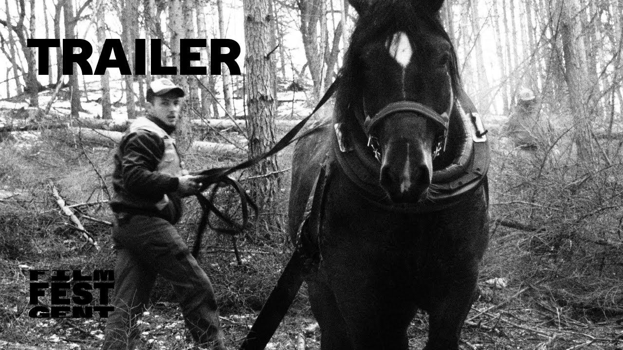 Cold and Dark | Trailer | Film Fest Gent 2024 - YouTube