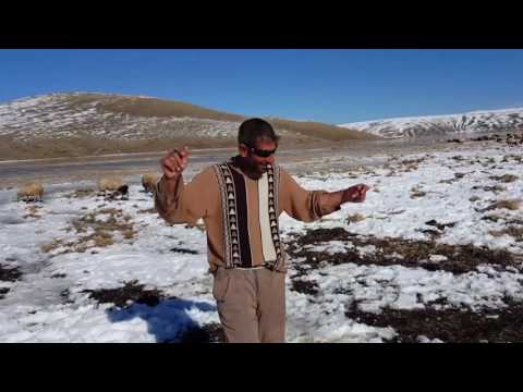 Böyle çoban görülmedi