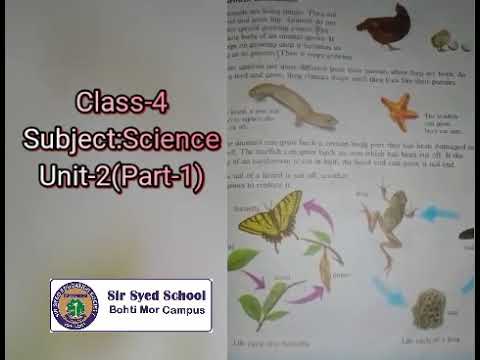 CLASS 4 SCIENCE LEC 1 (PART 2) - YouTube
