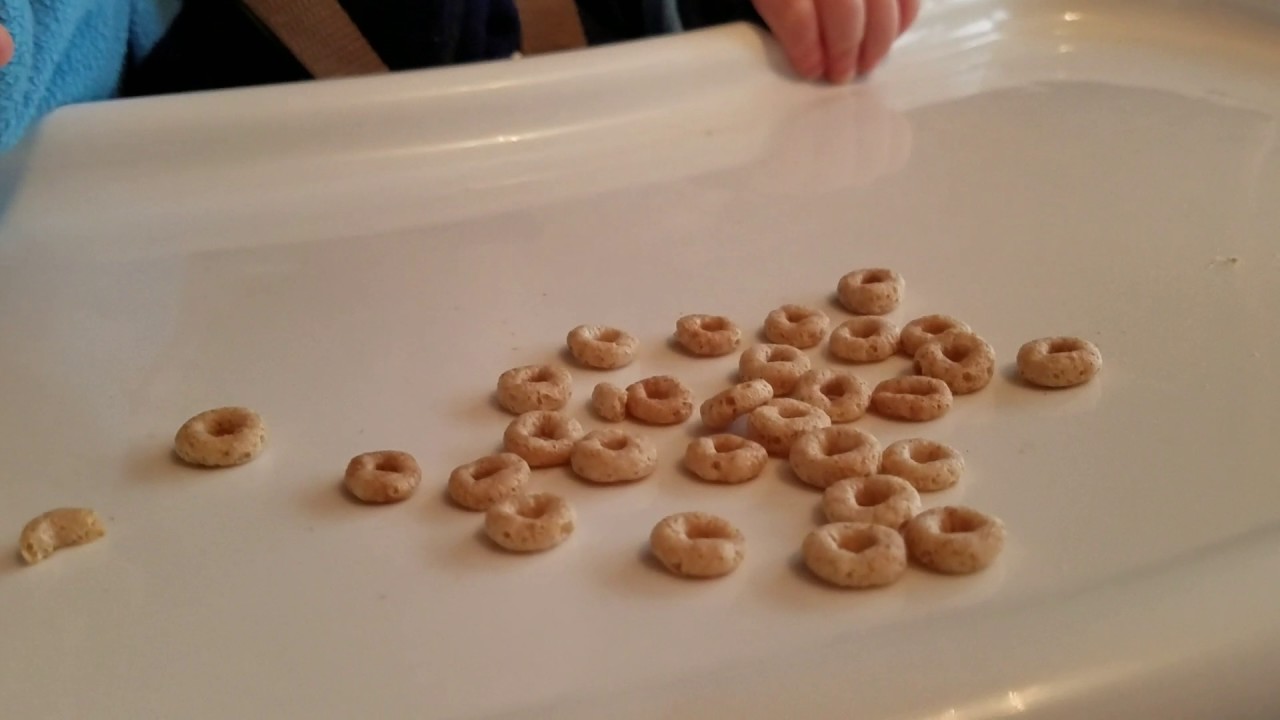 Dance of the Cheerios! - YouTube