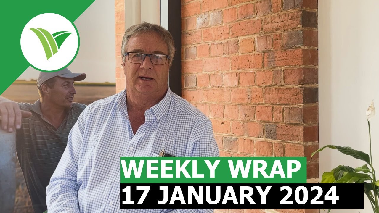 TasFarmers Weekly Wrap - 17 January 2025 - YouTube