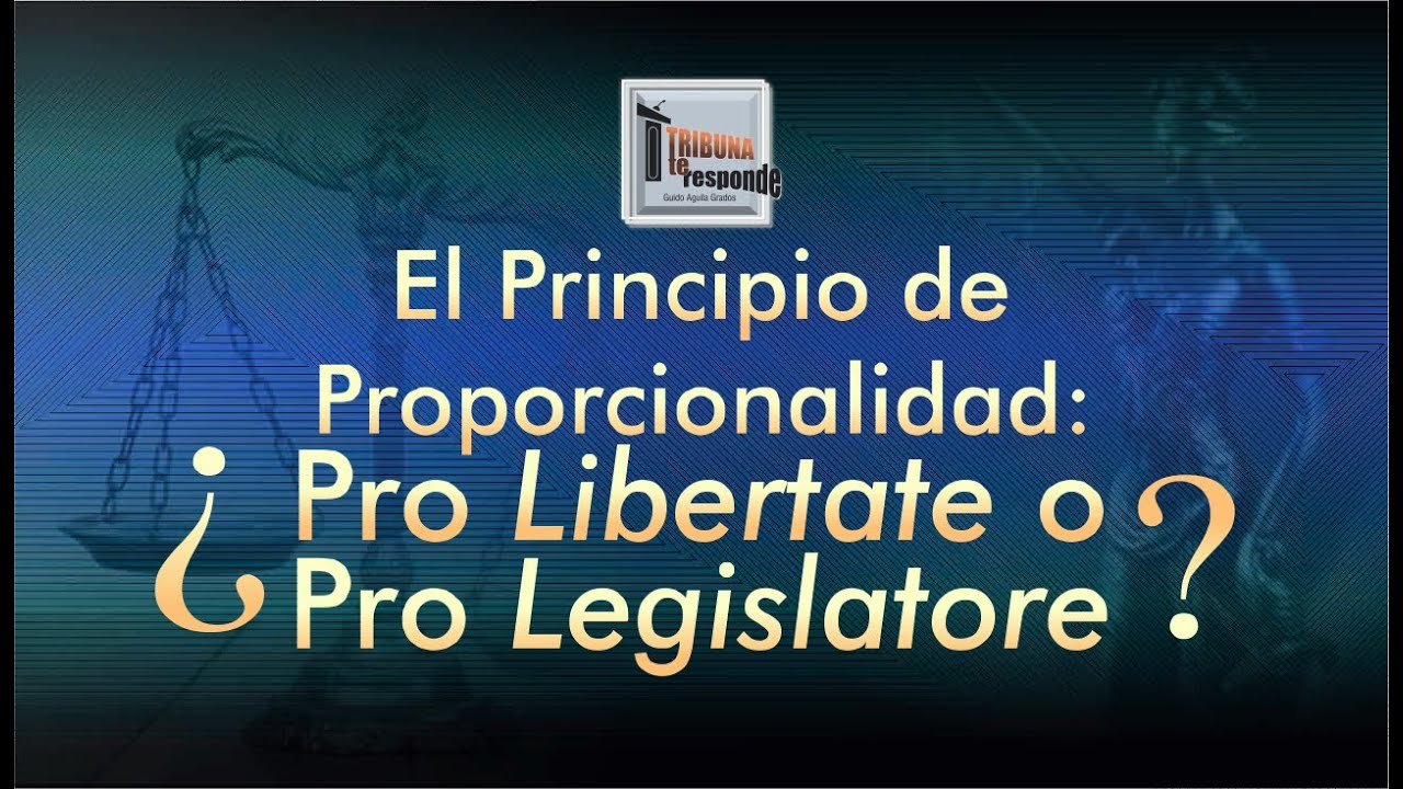 El Principio de Proporcionalidad: ¿Pro Libertate o Pro Legislatore ...