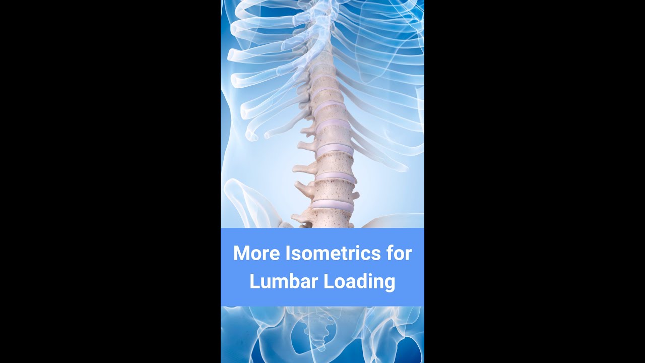More Isometrics Strategies for Lumbar Loading and Low Back Pain - YouTube