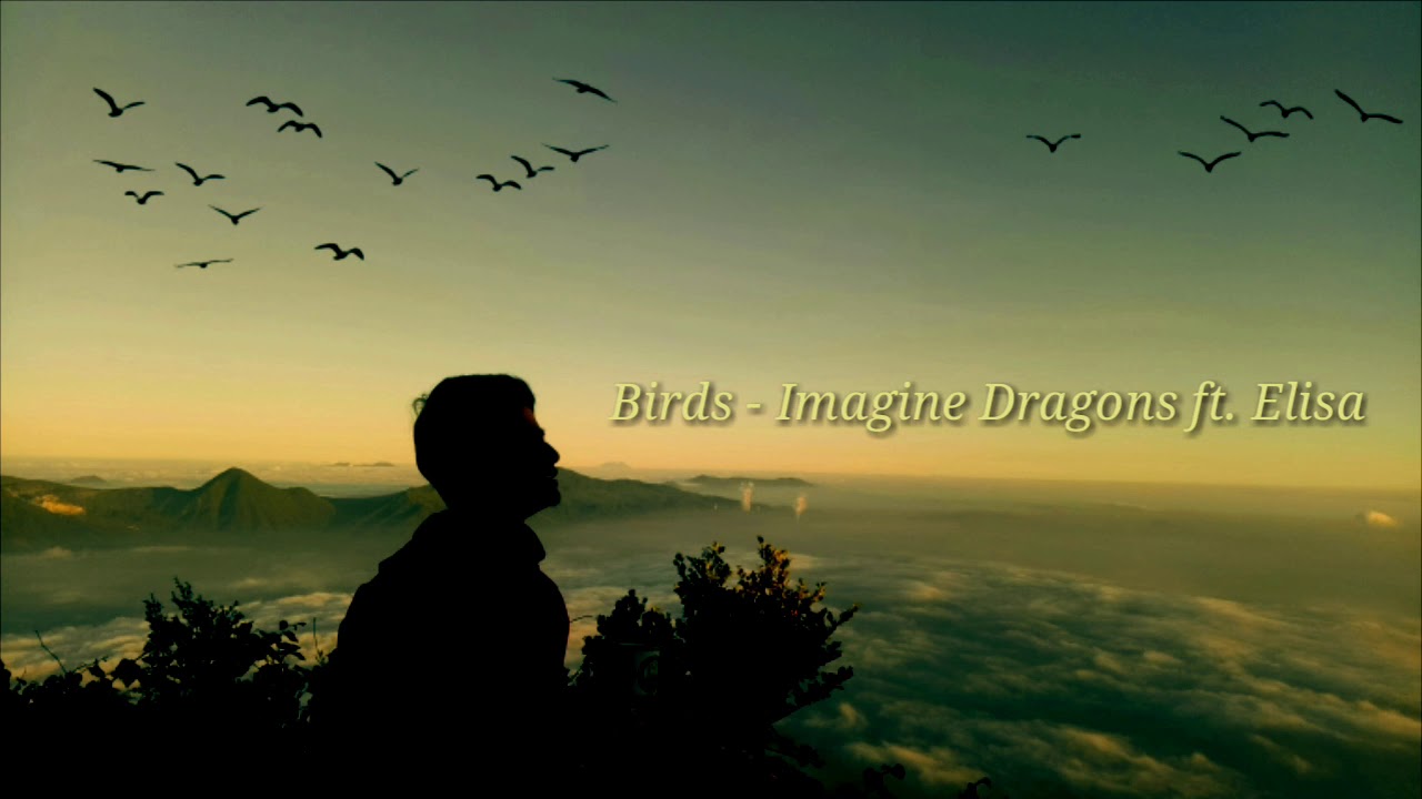 Lirik Lagu Birds - Imagine Dragons Ft. Elisa - YouTube Music