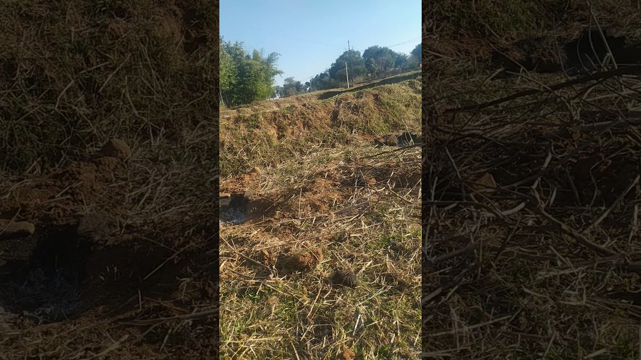 15 February 2020 - YouTube