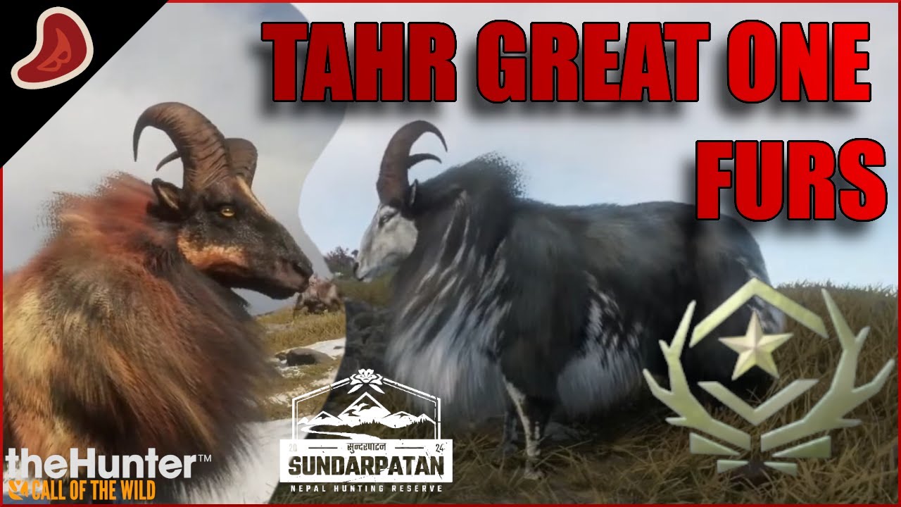 NEW Great One Tahr!!! | ALL Fur Types!! | Tahr Spotlight! | theHunter ...
