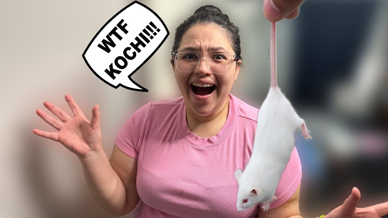 EXTREME RAT PRANK ON MY GIRLFRIEND! *She Freaked Out* - YouTube