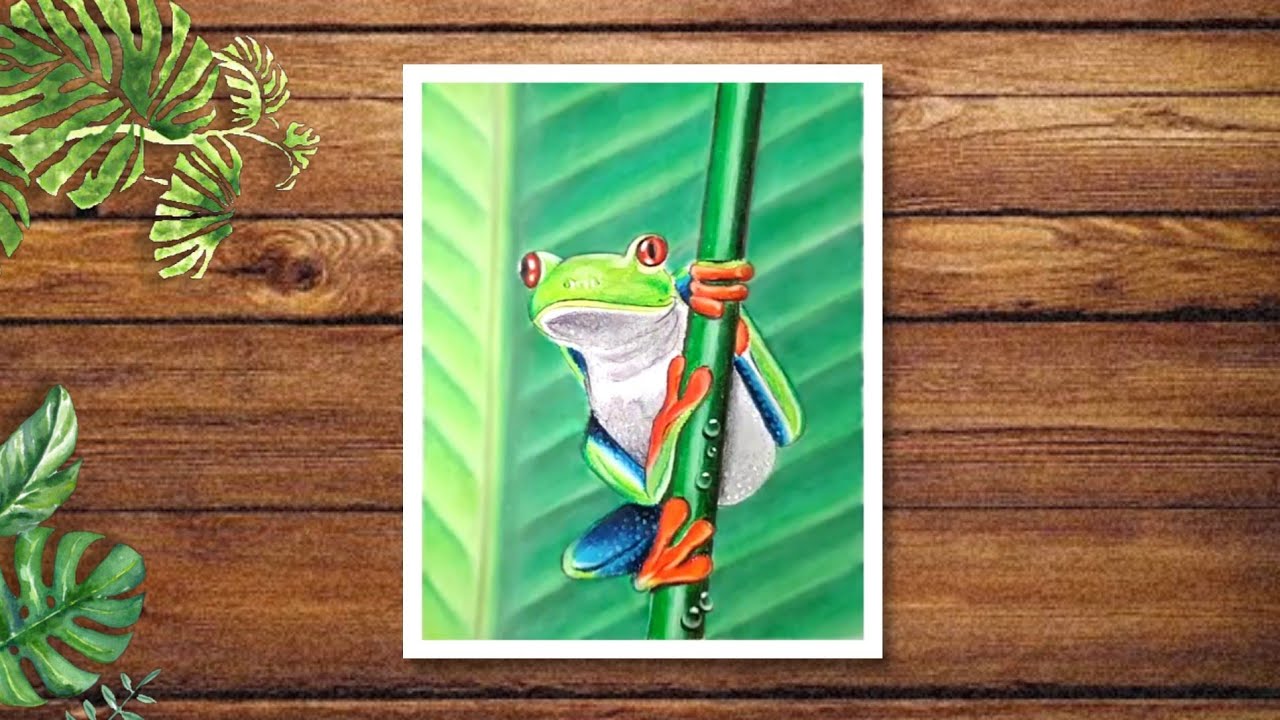 Frog drawing with oil pastels // Step by step drawing tutorial ...
