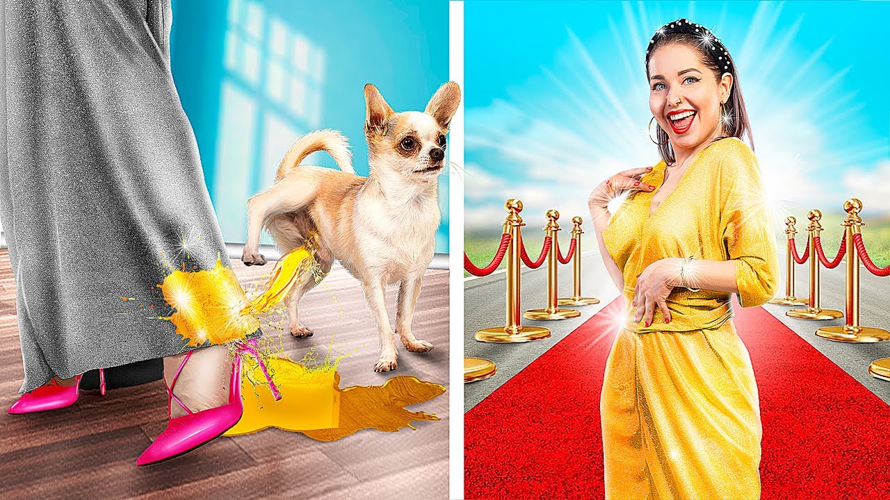 My Magic Dog Grants Wishes - YouTube