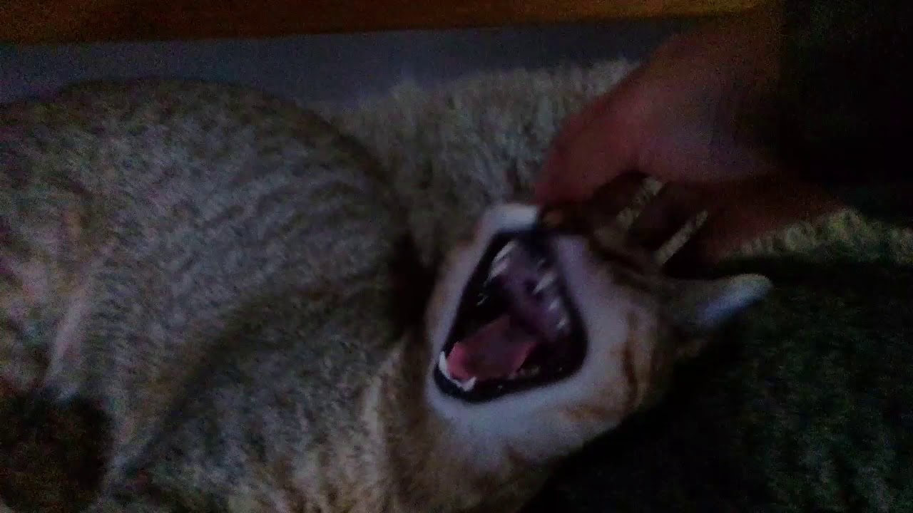 I'm such a creep... - YouTube