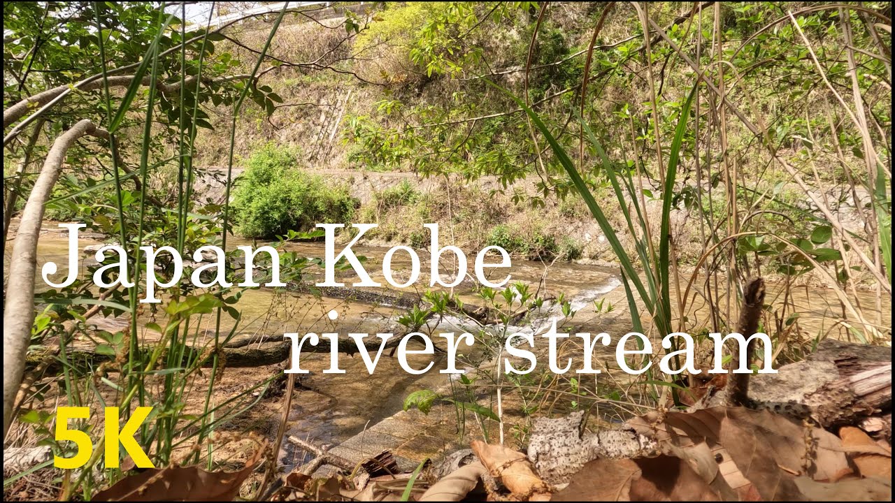 【5.3K】relax healing music of a stream～川のせせらぎ水の音・定点観測・水景・睡眠導入～Japan ...