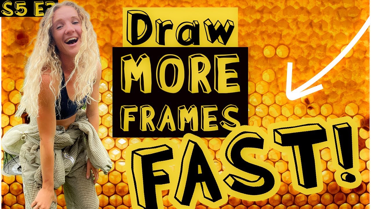5 Tips To Draw Comb CRAZY FAST even in JULY!!! Beekeeping 101 # ...