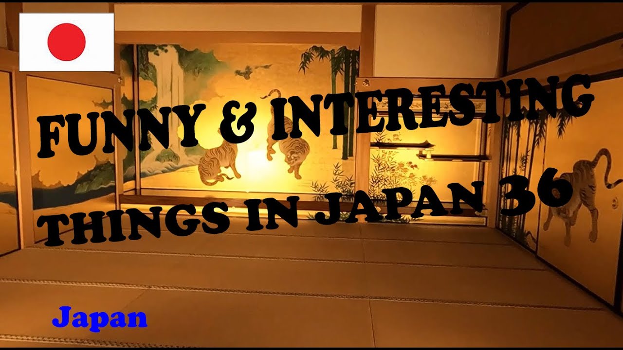 Funny and Interesting Things in Japan 36 Nagoya Castle - YouTube