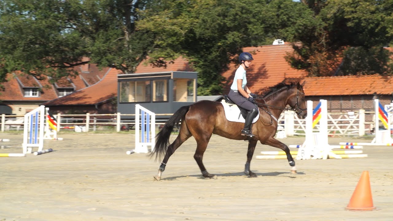 Springreiten? Aber sicher! Teil 2: Dressurmäßige Grundlagen - YouTube