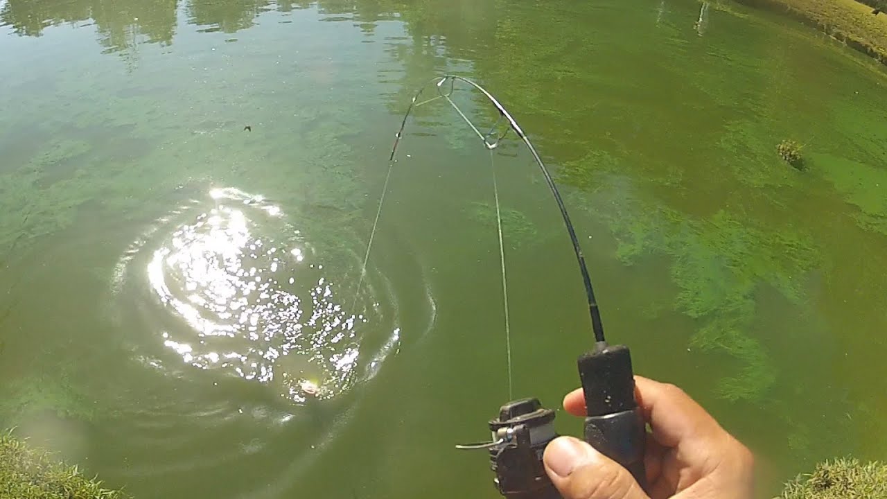 Super Light Fishing for Feisty Catfish!!! (Channel Update!!) - YouTube