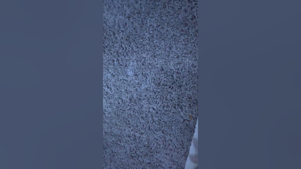 Nothing to say here - YouTube