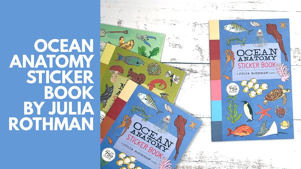 Julia Rothman Ocean Anatomy Sticker Book Flip Through! - YouTube