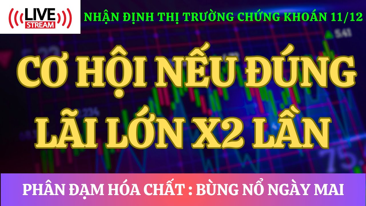Nhận Định Thị Trường Chứng Khoán 11/12: Rất quan trọng | Cơ hội X2 với ...