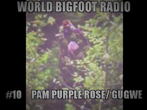 World Bigfoot Radio #10 ~ Gugwe Troop Assaults Camping Family! /Pam ...