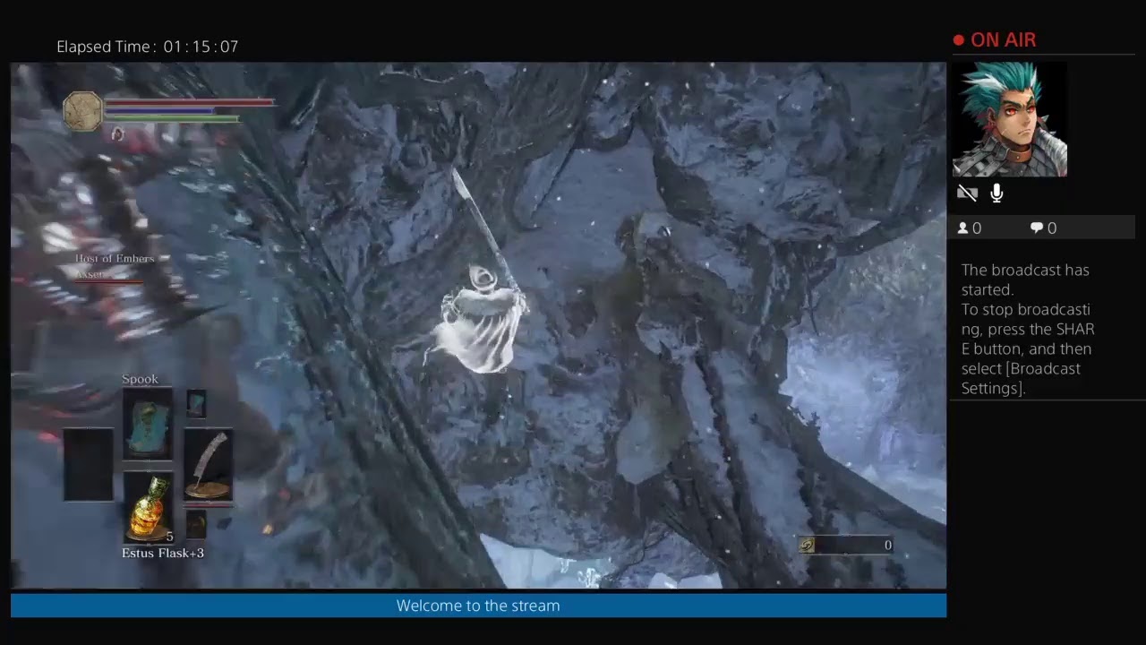 Ds3 painted world drunken - YouTube
