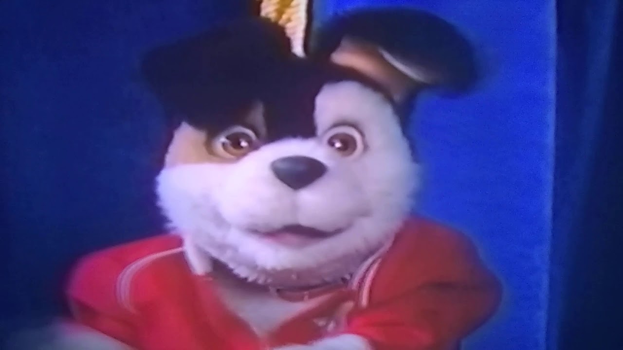 Toby terrier my beloved! - YouTube