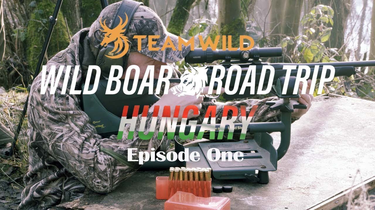 Wild Boar Hunting: Rifle and Scope Selection & Set-Up - YouTube