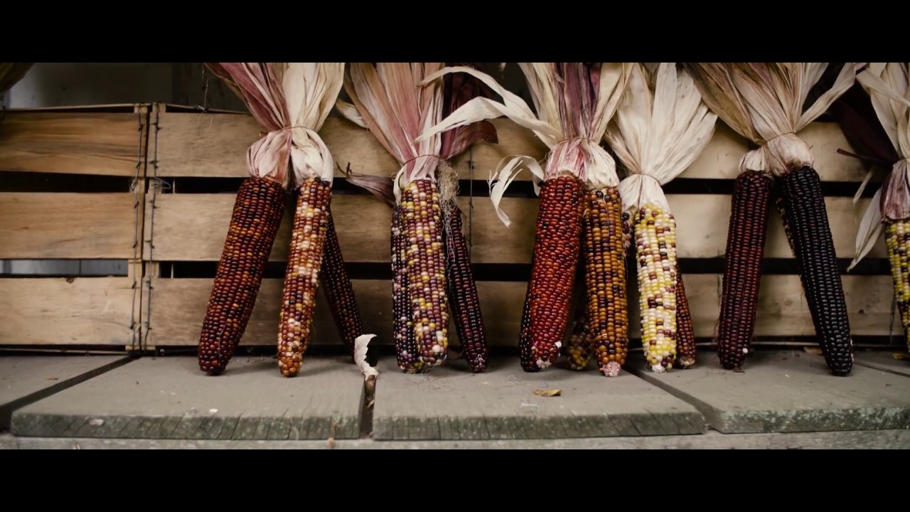 AUTUMN Metal Element - YouTube