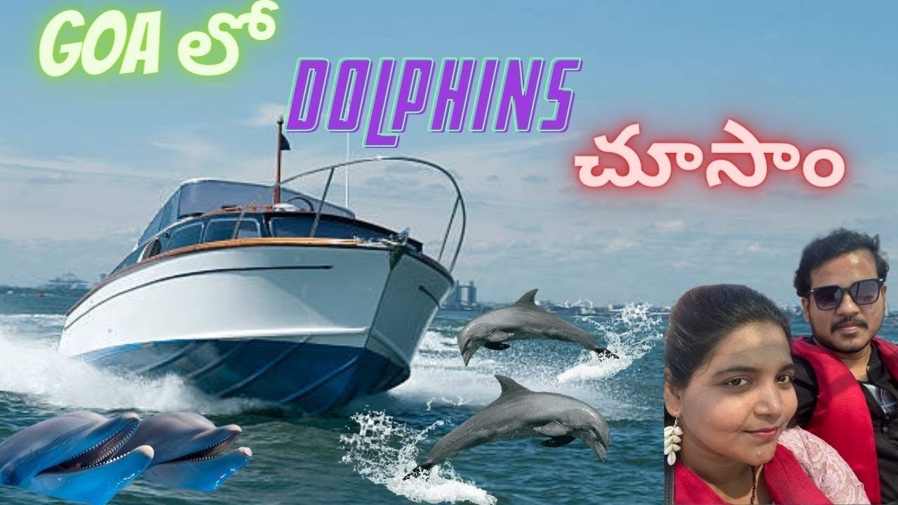 Dolphins and sight seeing in Goa | Goa లో Dolphins ride కి వెళ్ళాం | # ...