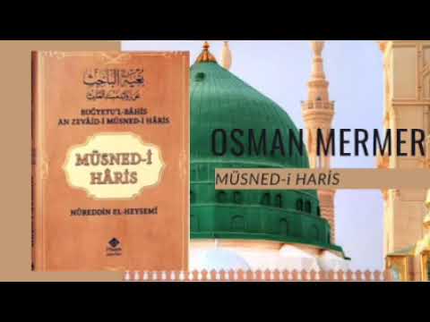 Müsned Haris 593 İdarecilik
