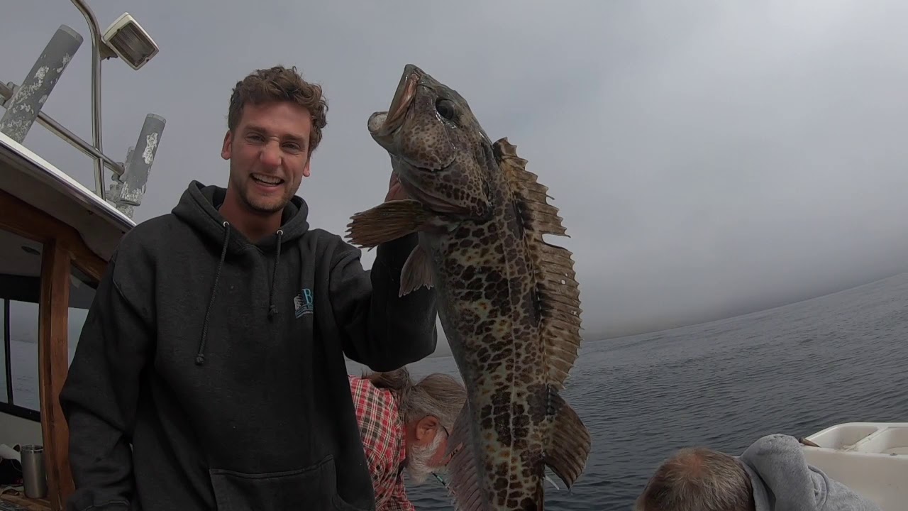 Morro Bay Big Lingcod and Rockfish Doubleheader November '19 - YouTube