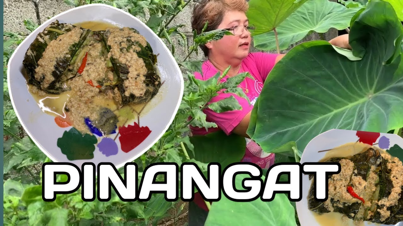 Pinangat : Pinangat na Gabi - YouTube