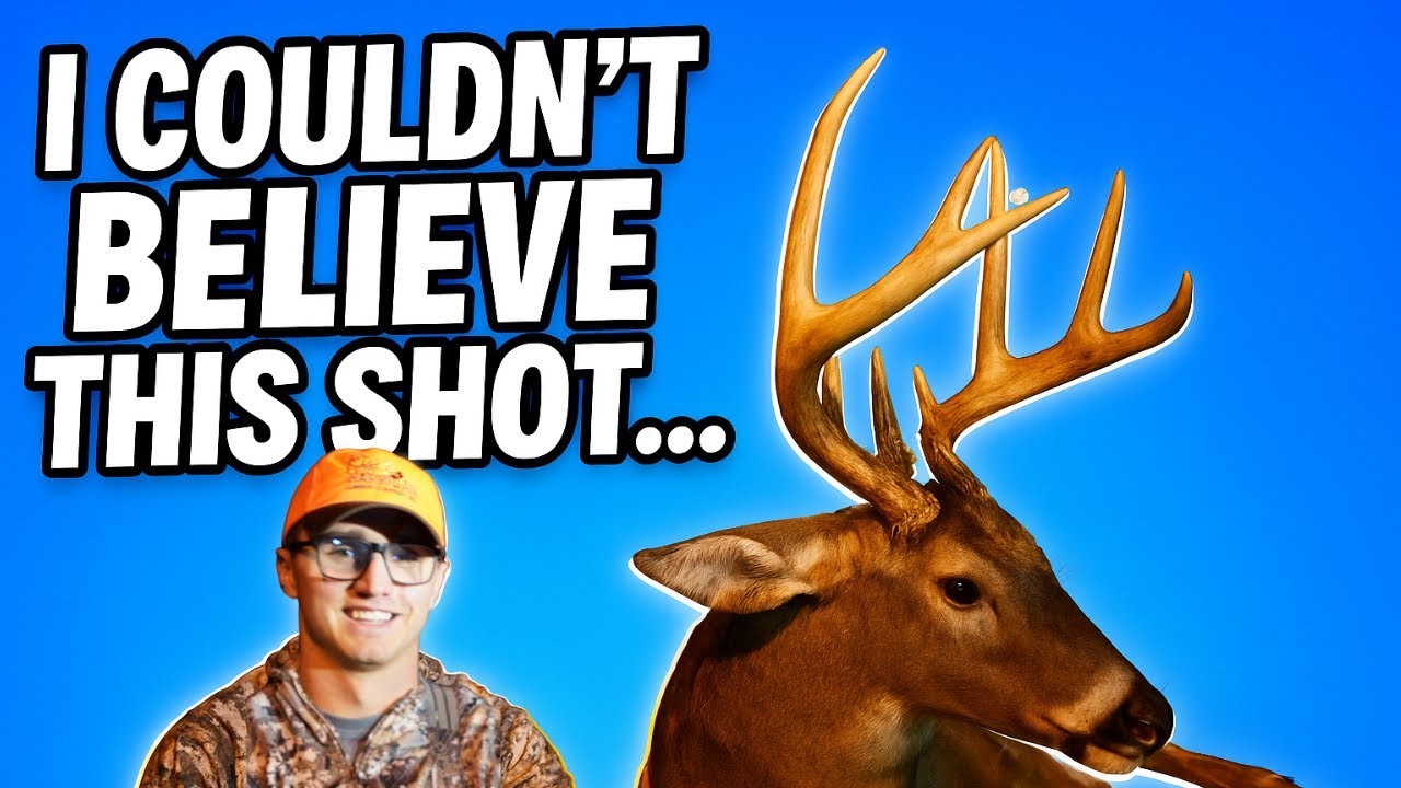ALABAMA BOW HUNTING (BIG BUCKS) - hunting with SEVR broadheads - YouTube