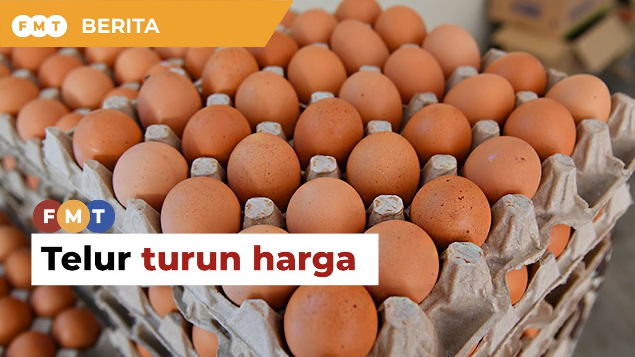 Telur semua gred turun 3 sen - YouTube