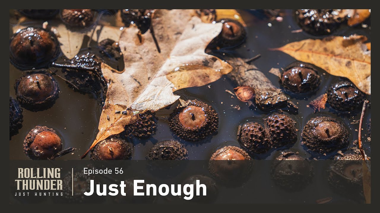 Ep 56 • Just Enough • Arkansas flooded timber duck hunt, mallards in ...