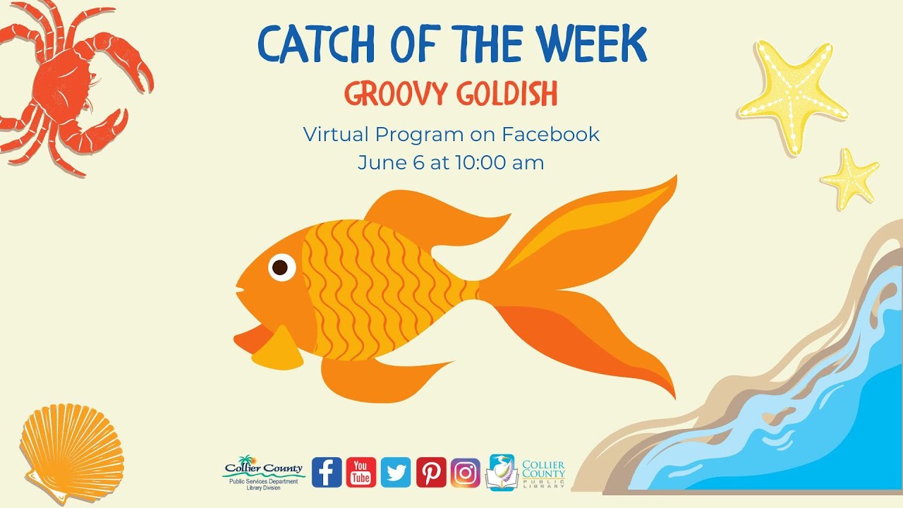 Catch of the Week: Episode 3 - Groovy Goldfish - Collier County Public ...
