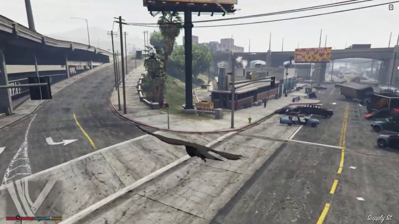 Pakshi Raja | GTA 5-Animal Skin mod-Crow. - YouTube
