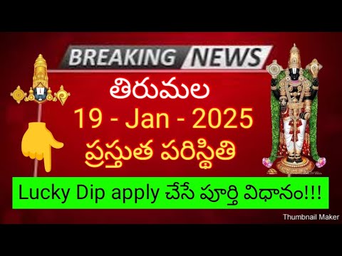 tirumala 19 january 2025 present situation sarva darshan | how to apply ...