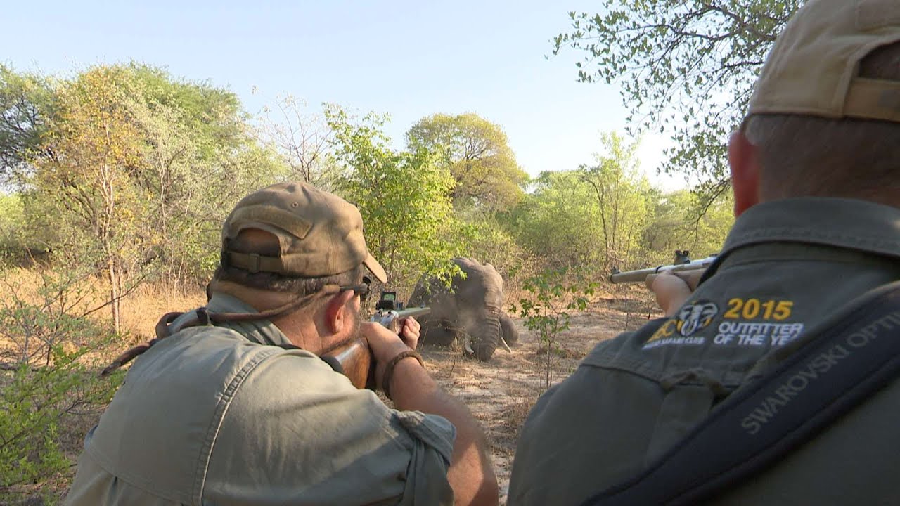 Elephant Hunting in the Caprivi by the Best! - YouTube