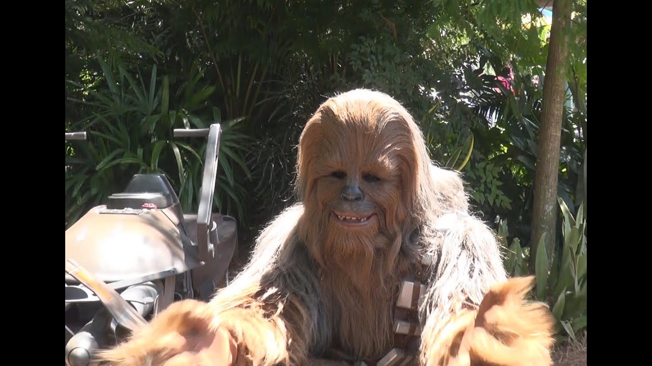 CHEWBACCA in the most ADORABLE child interaction Star Wars Weekends ...