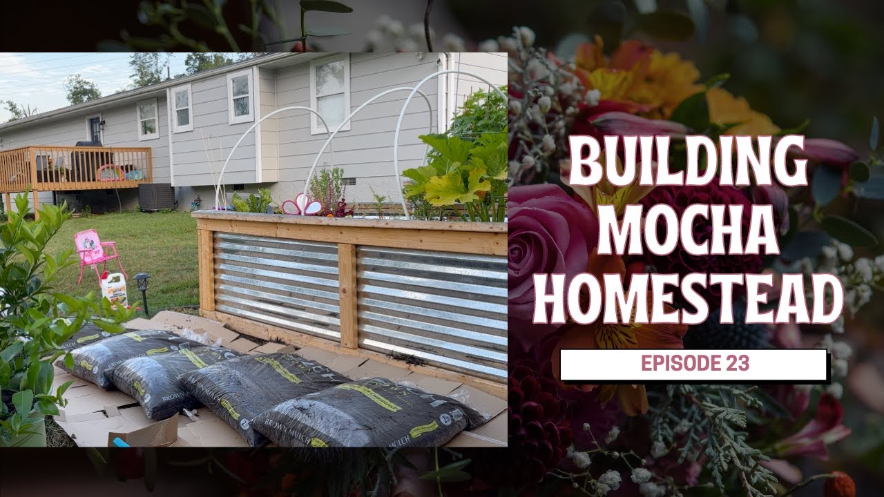 Building Mocha Homestead Episode 23 - YouTube