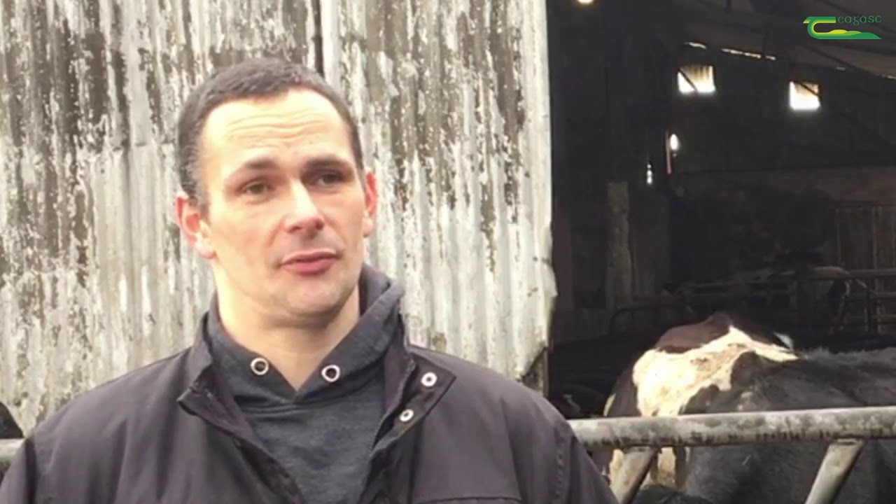 John Leahy - Teagasc Kerry Agribusiness Supplier - YouTube