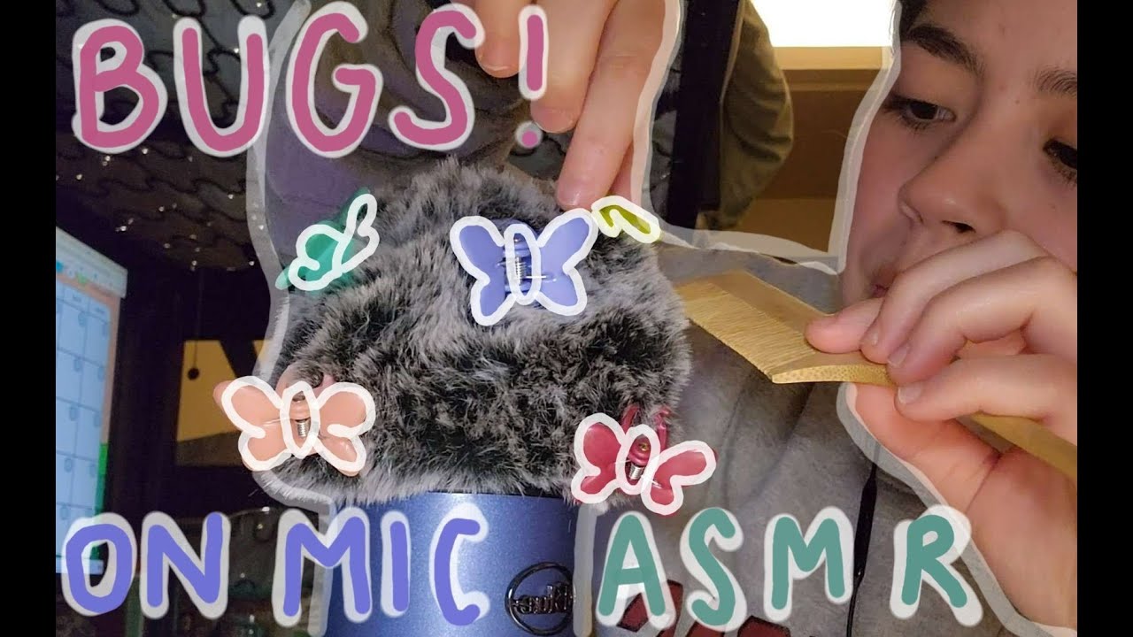 ASMR🦋 Bugs on the Mic! | Tingles - YouTube