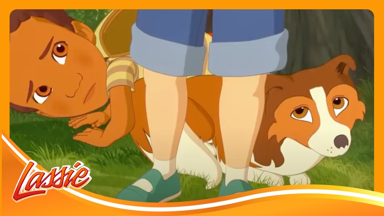 🐶 Adopt-a-Puppy Day 💖 | Cartoon for Kids @lassie.official - YouTube