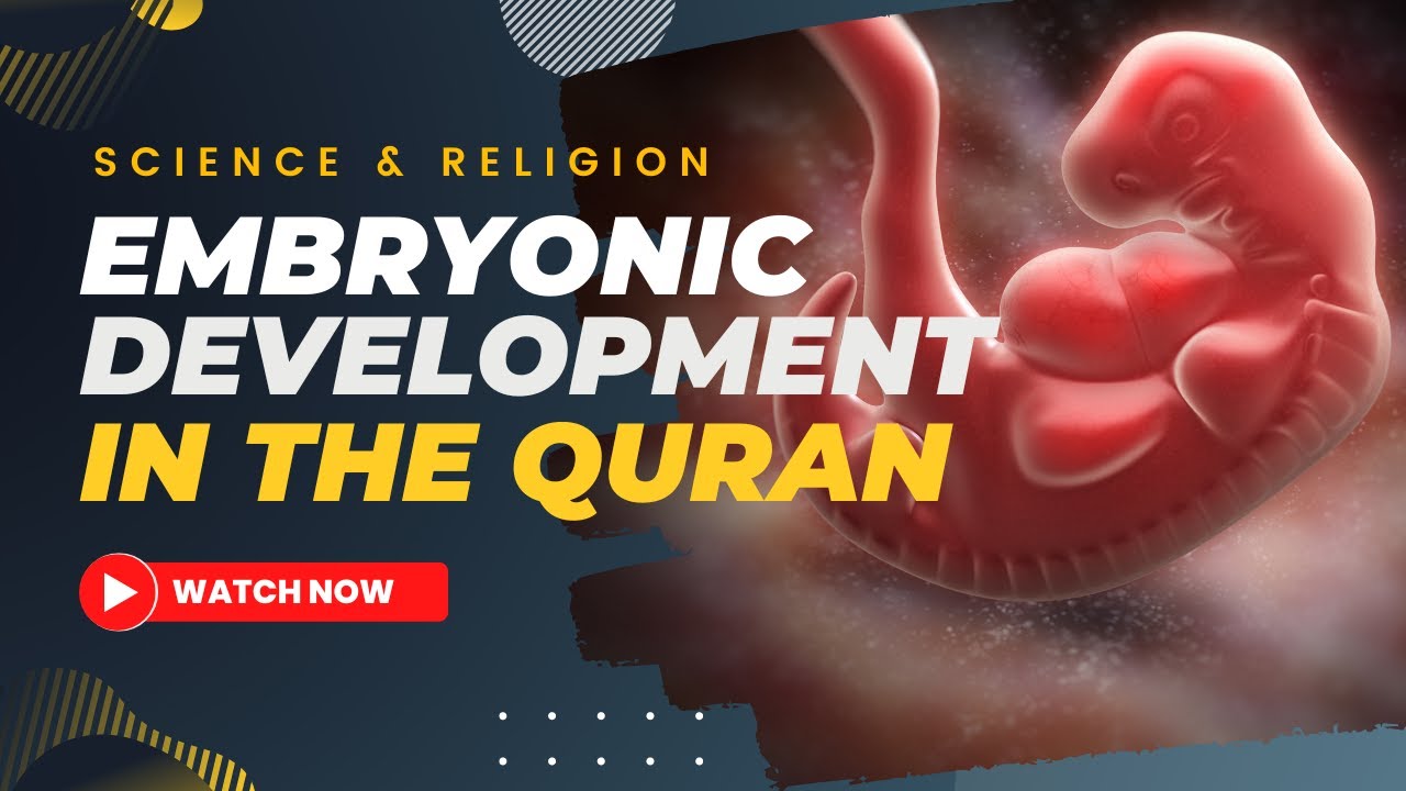 Embryonic Development in the Quran - YouTube