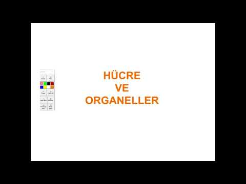 Tusem Biyokimya Saygın Demirel ile Hücreler ve Organeller Konu Videosu