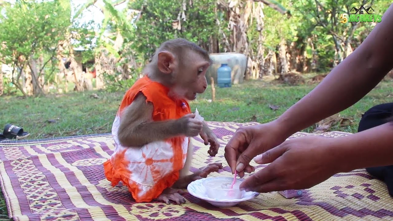 Talent Baby Very Good Spinning Back Before Eating - YouTube