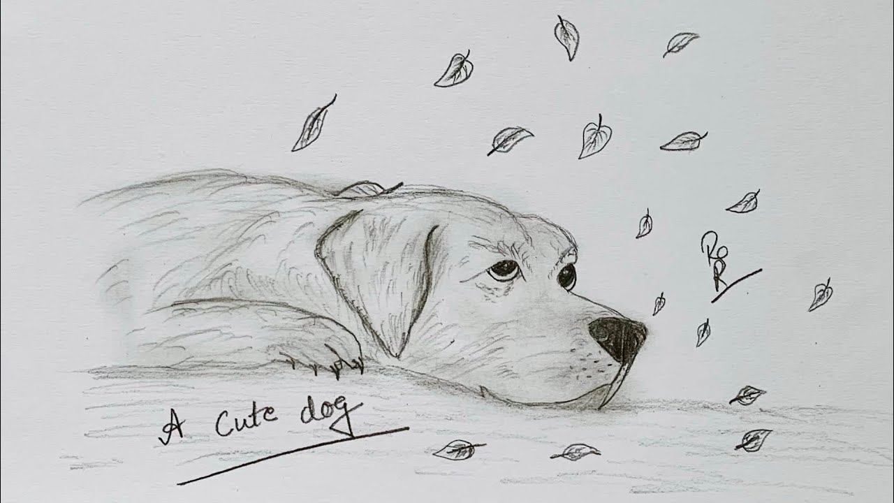 “A Peaceful Moment: How to draw a Dog Resting in Autumn Leaves 🍁🐾 ...