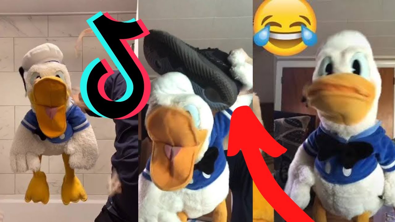 The Most Popular Donald Duck TikToks of 2020 | Funny DonaldDucc Tik Tok ...