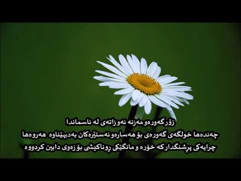 دڵت ئارام کەرەوە