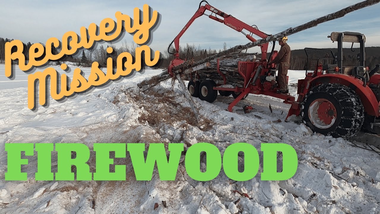 Digging out buried tree-length firewood - YouTube